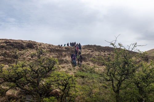 British Pilgrimage Trust with Pilgrim Paths Ireland to manage new ...
