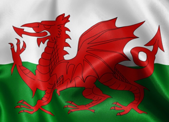 Welsh Language Rights Day marked in Pembrokeshire - Pembrokeshire ...