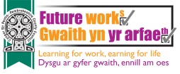 Futureworks at Pembrokeshire County Council - Pembrokeshire County Council